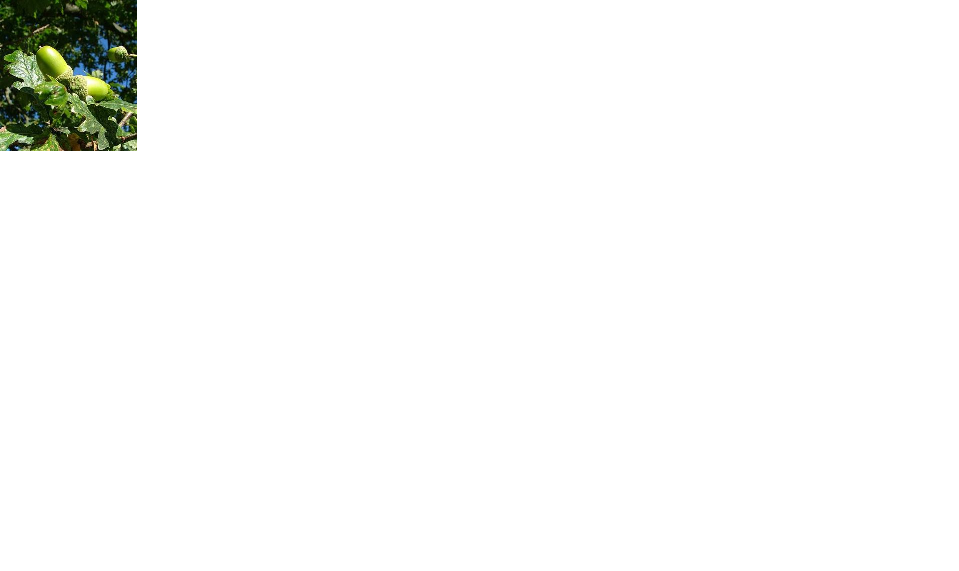 png | Libraries Ireland